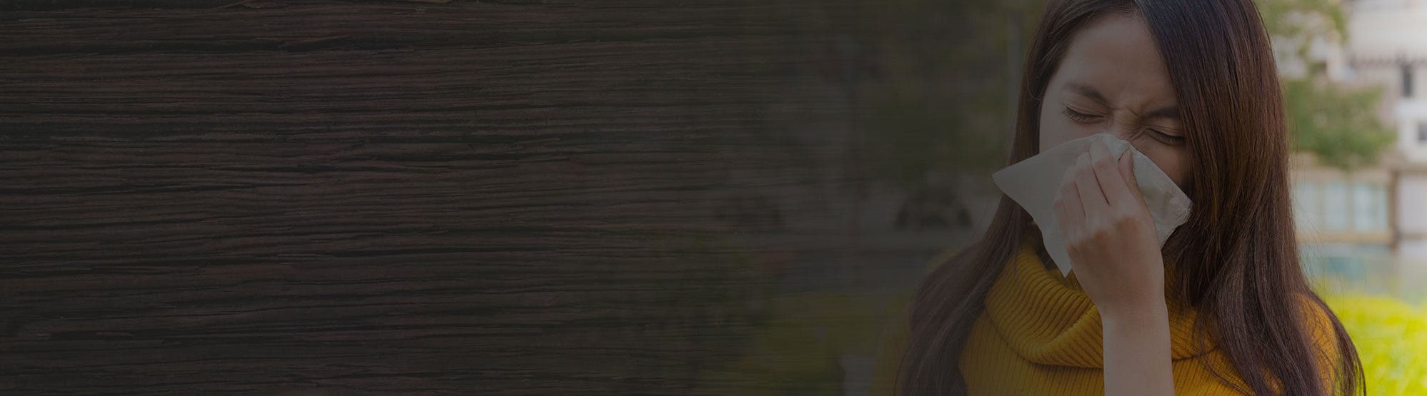 Supplements For Allergies | Herbal Chinese Medicine | Solstice Medicine ...